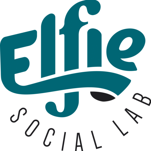 Elfie Social Lab - L’agitateur d’Innovations Sociales à la Réunion